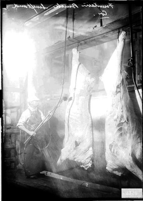 ECC | [Man washing two cattle carcasses with a fountain brush in S