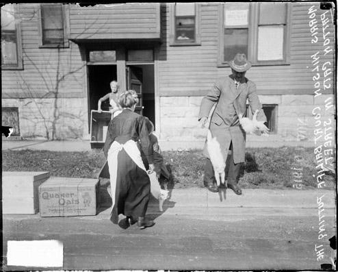 ECC | [Bailiff Morris Wilson taking cats from the home of Anna and