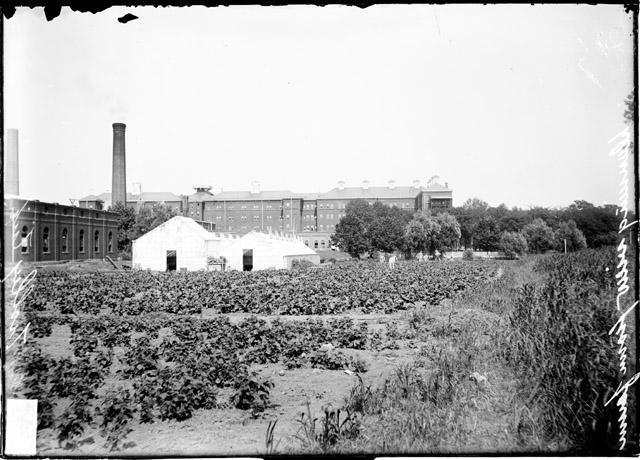 ECC | [Chicago State Hospital buildings as seen from across the fa