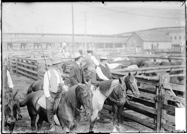 ECC | [Four men riding horses past corrals of animals in the stock