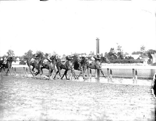 ECC | [Aurora Race Track, horses carrying jockeys racing on the ra