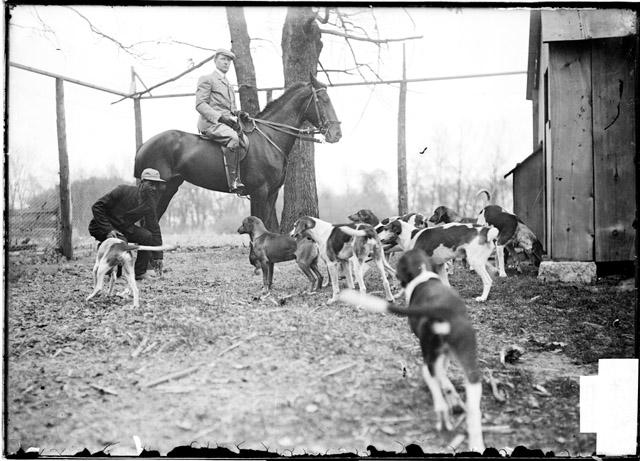 ECC | [Fox hunting, hunter on horseback and hunting dogs in a kenn