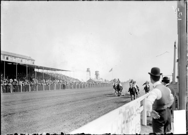ECC | [Hawthorne Race Track, five racehorses running on track past