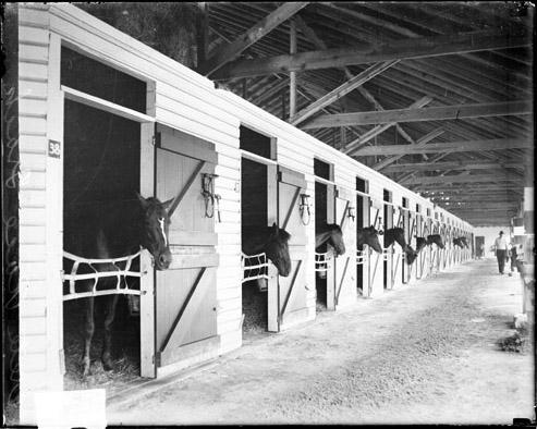 ECC | [Horse racing, horses standing in row of doorways at stables
