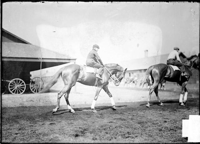 ECC | [Horse racing, jockey, Wilson riding racehorse, Censor, behi