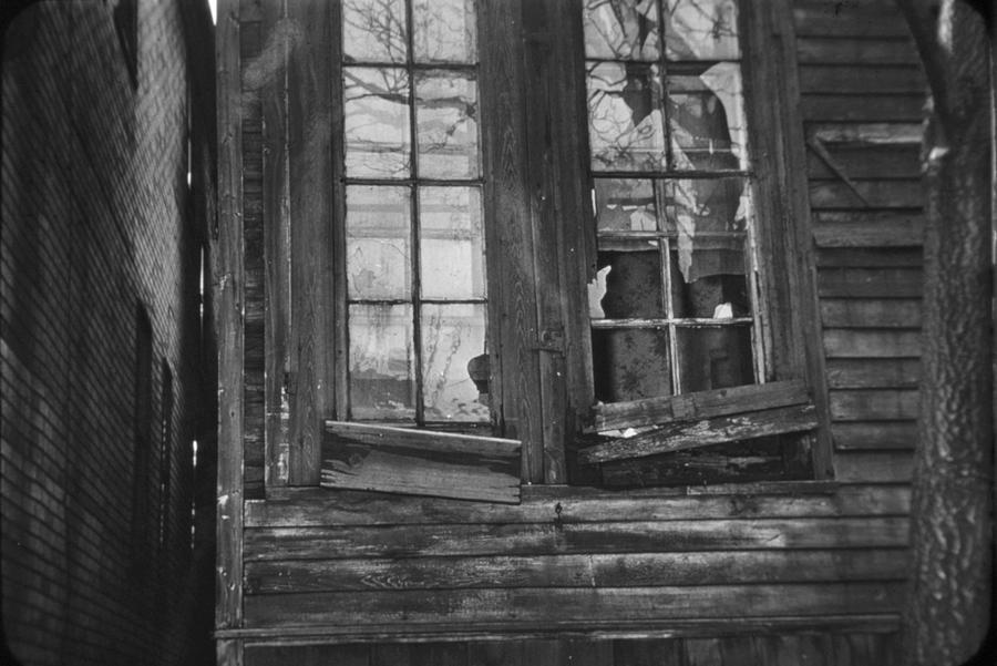 ECC | Normal Park: Conservation Area