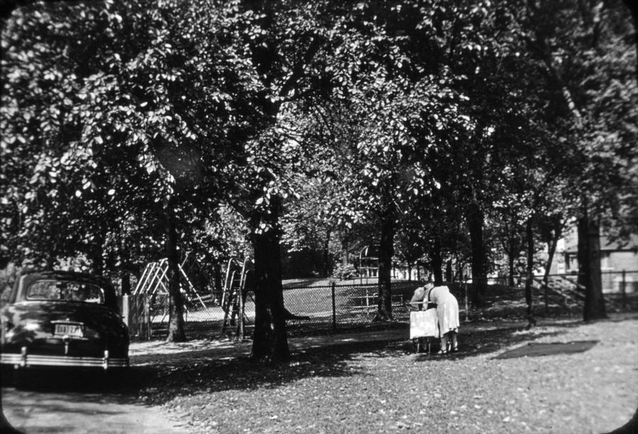 ECC | Normal Park: Conservation Area