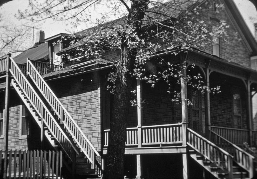 ECC | Normal Park: Conservation Area