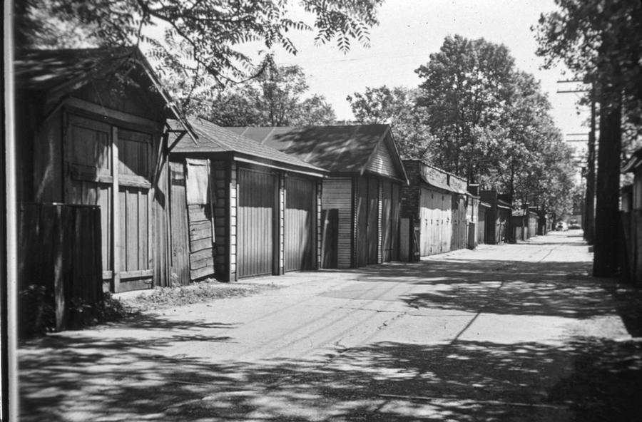 ECC | Normal Park: Conservation Area