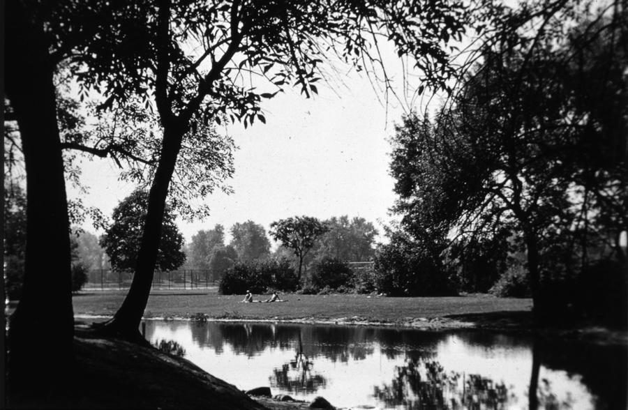 ECC | Normal Park: Conservation Area