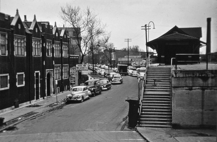 ECC | Normal Park: Conservation Area