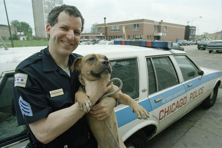 ECC | Animal Crimes Division/ dog fighting, image 05